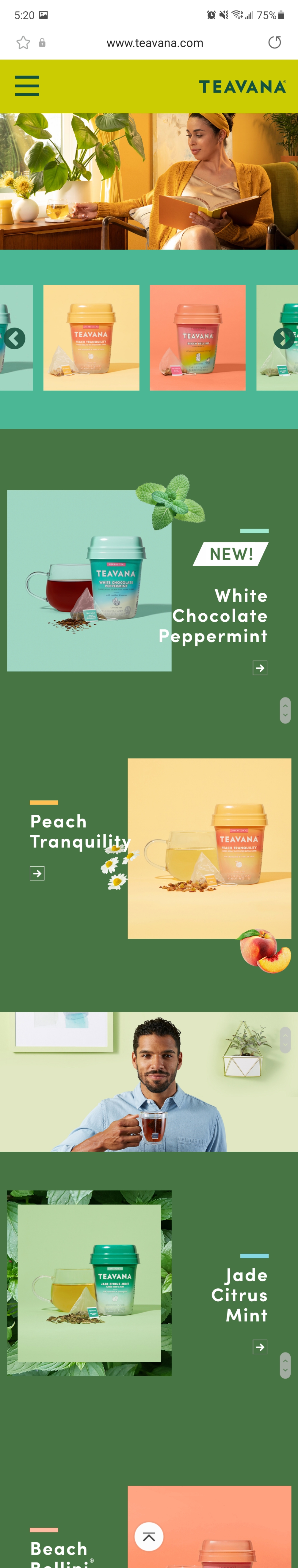 WDD 230 Design Principles Document